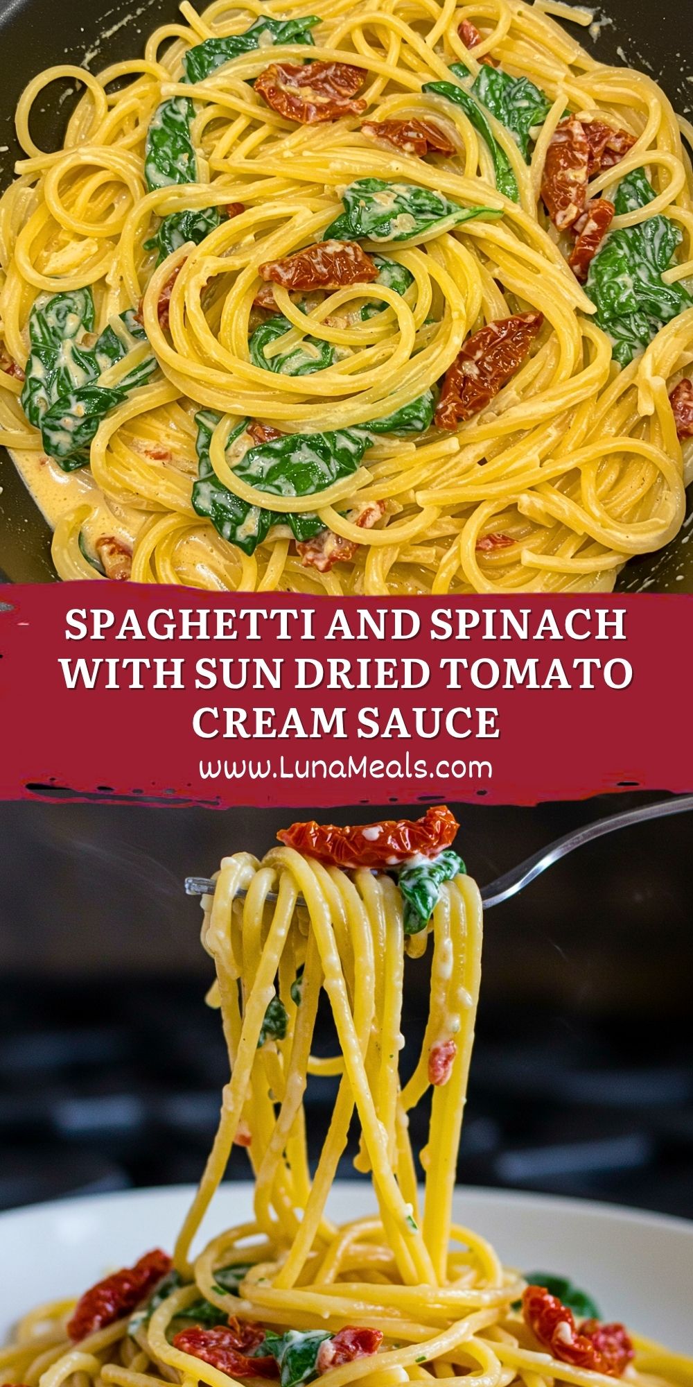 Spaghetti and Spinach with Sun Dried Tomato Cream Sauce